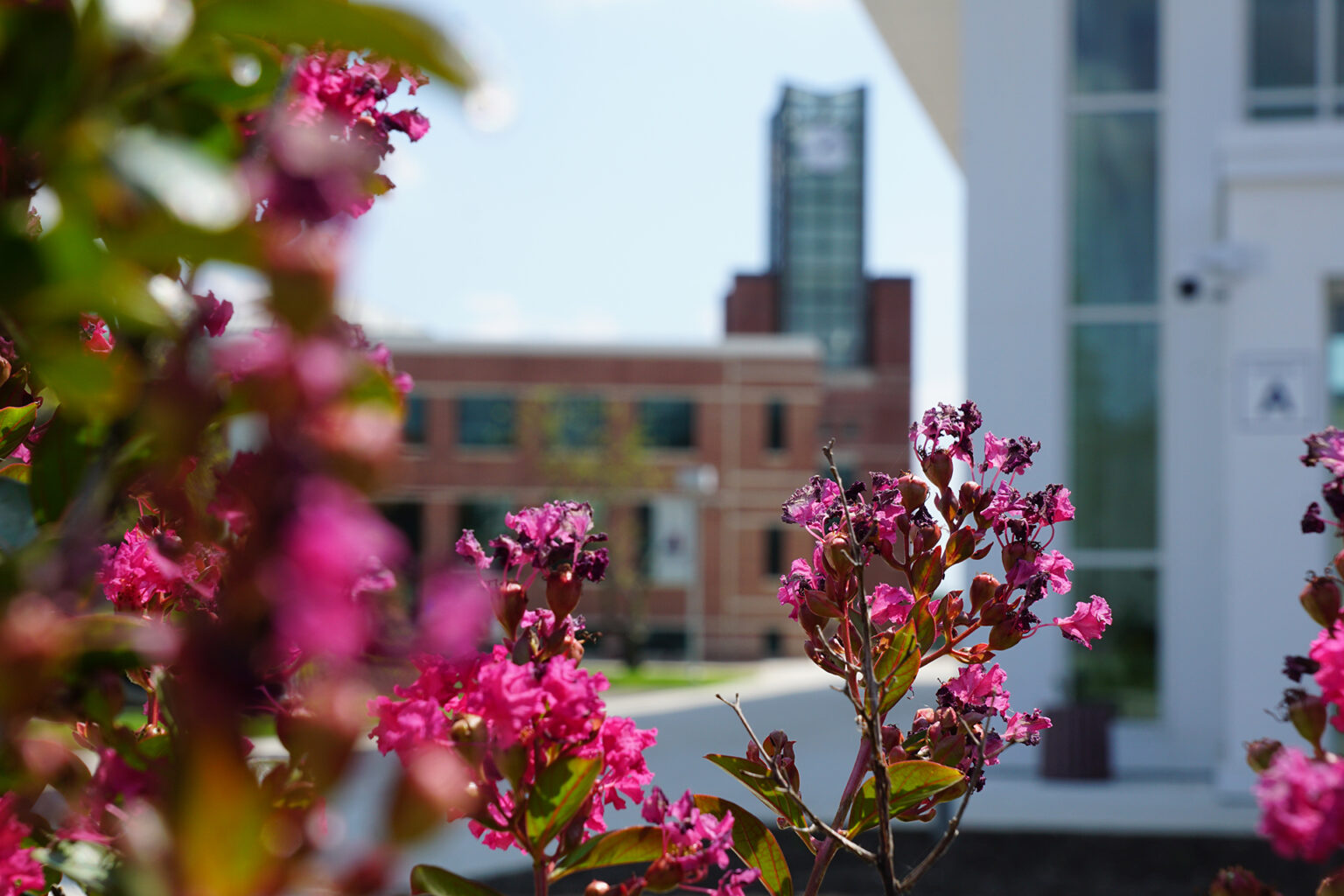 Spring Semester – Classes Begin - Ocean County College