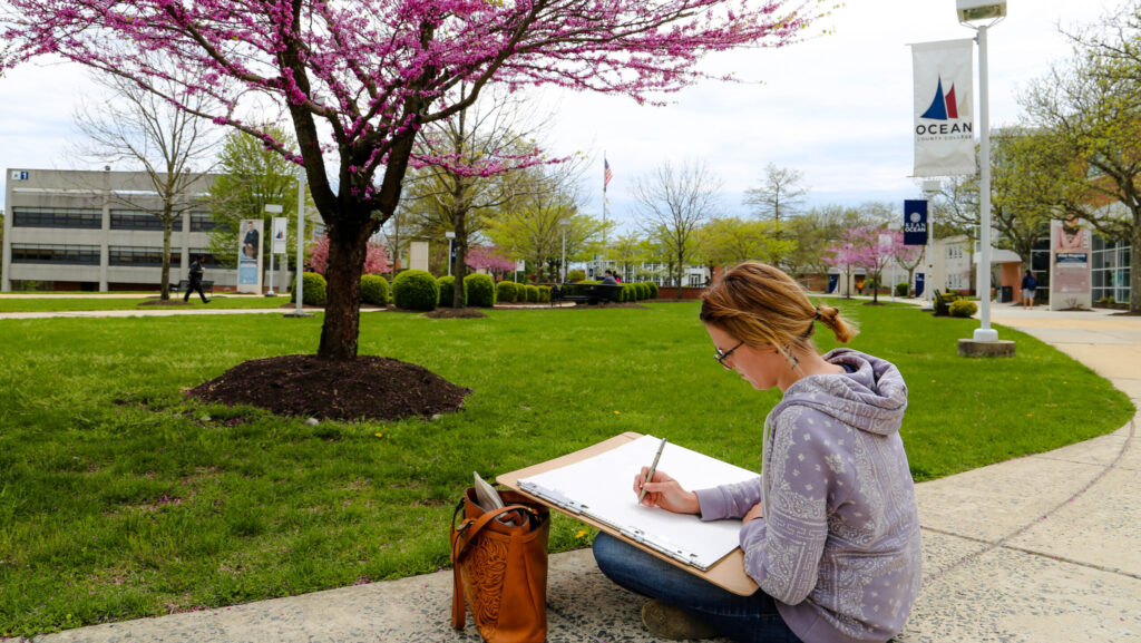 Fine Arts Degree | Unleash Your Creative Potential with OCC